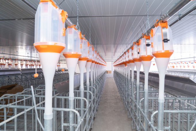 Most Modern High-Tech Livestock Complex in Central Highlands Ready for ...